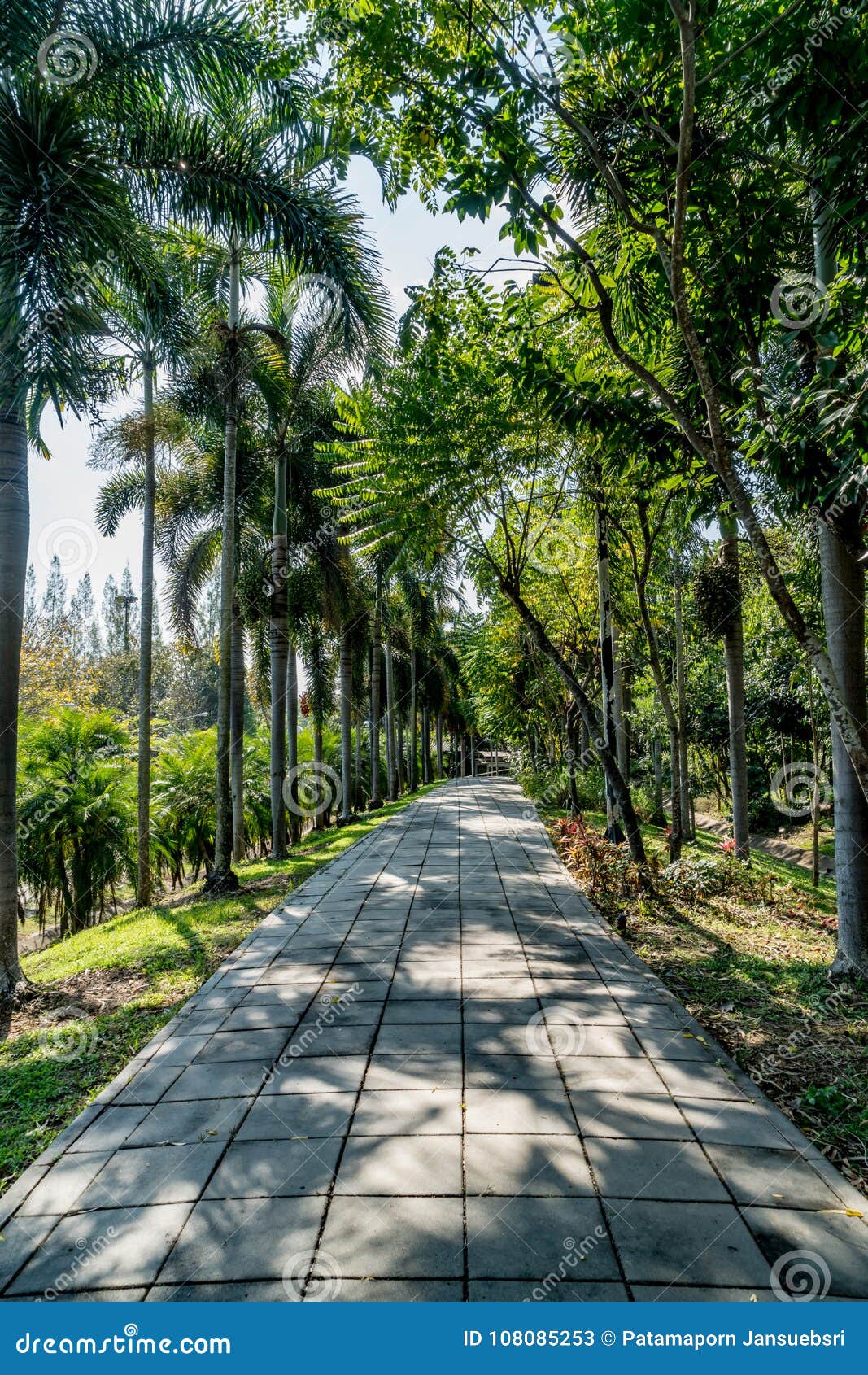 Concrete Pathway in garden stock image. Image of footpath - 108085253