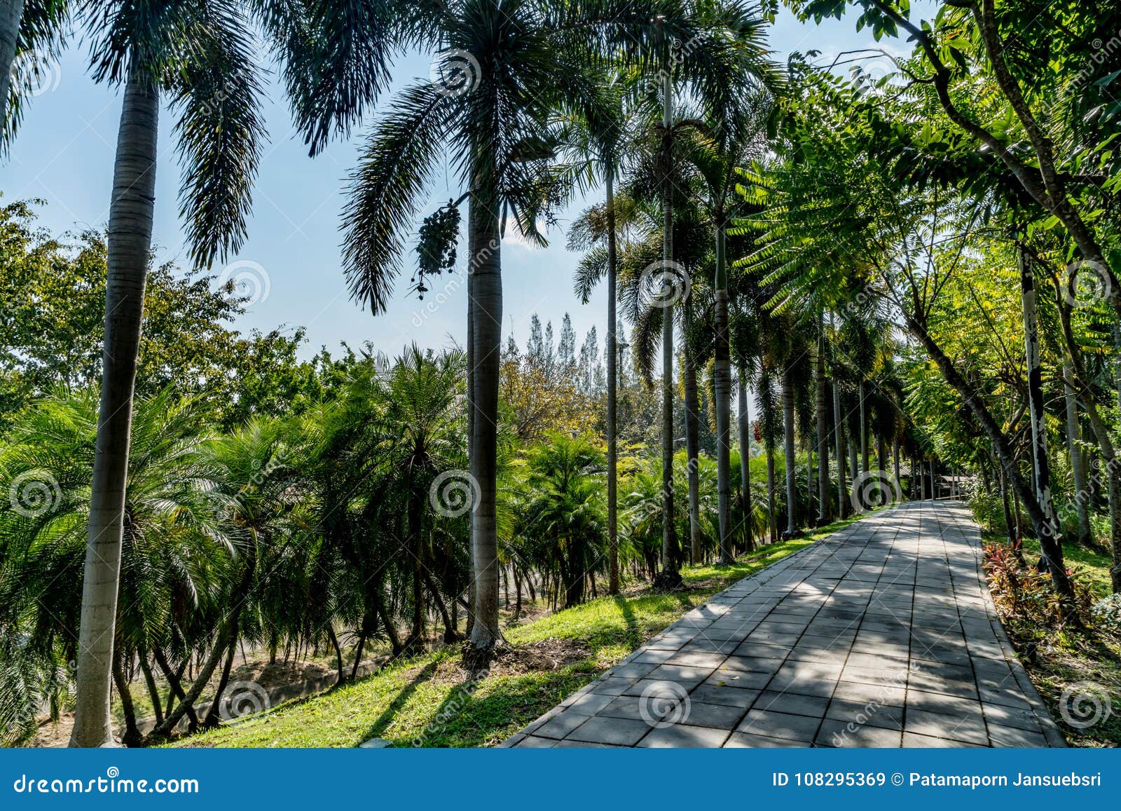 Concrete Pathway in garden stock image. Image of nature - 108295369