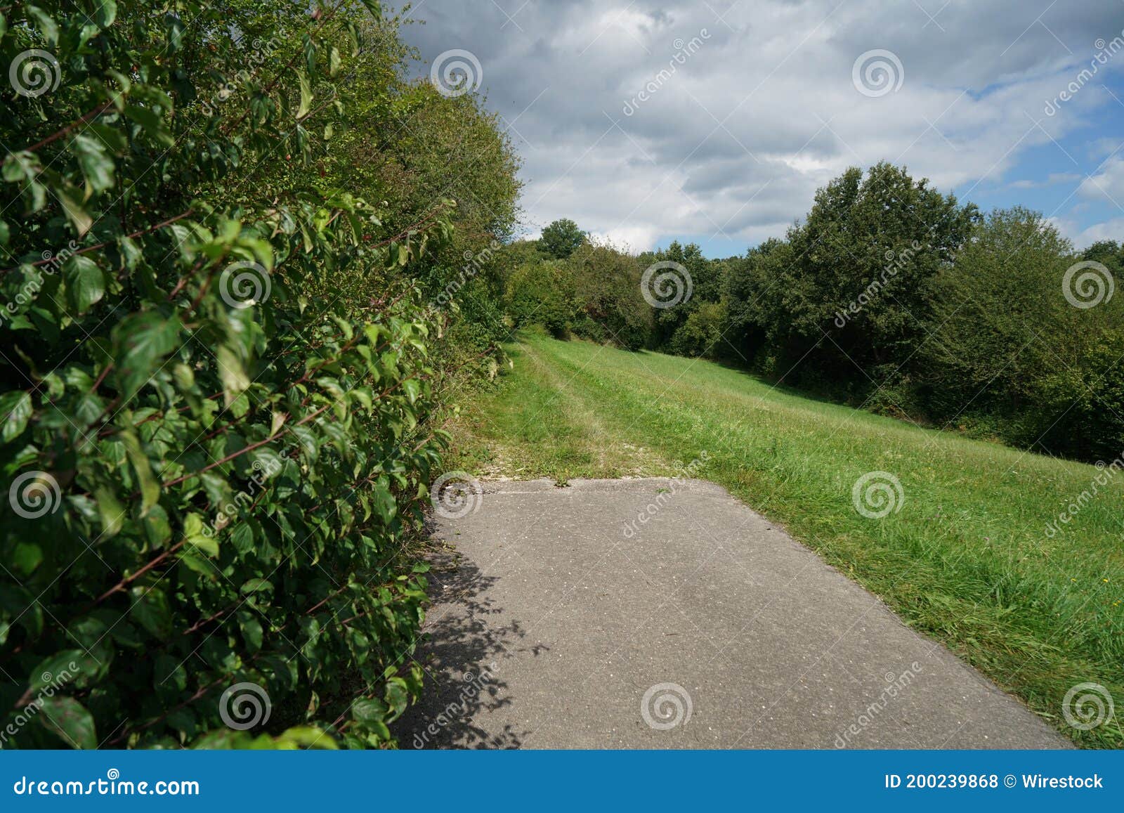 A Pathway That Run In Between The Hedges And Trees Stock Photo ...