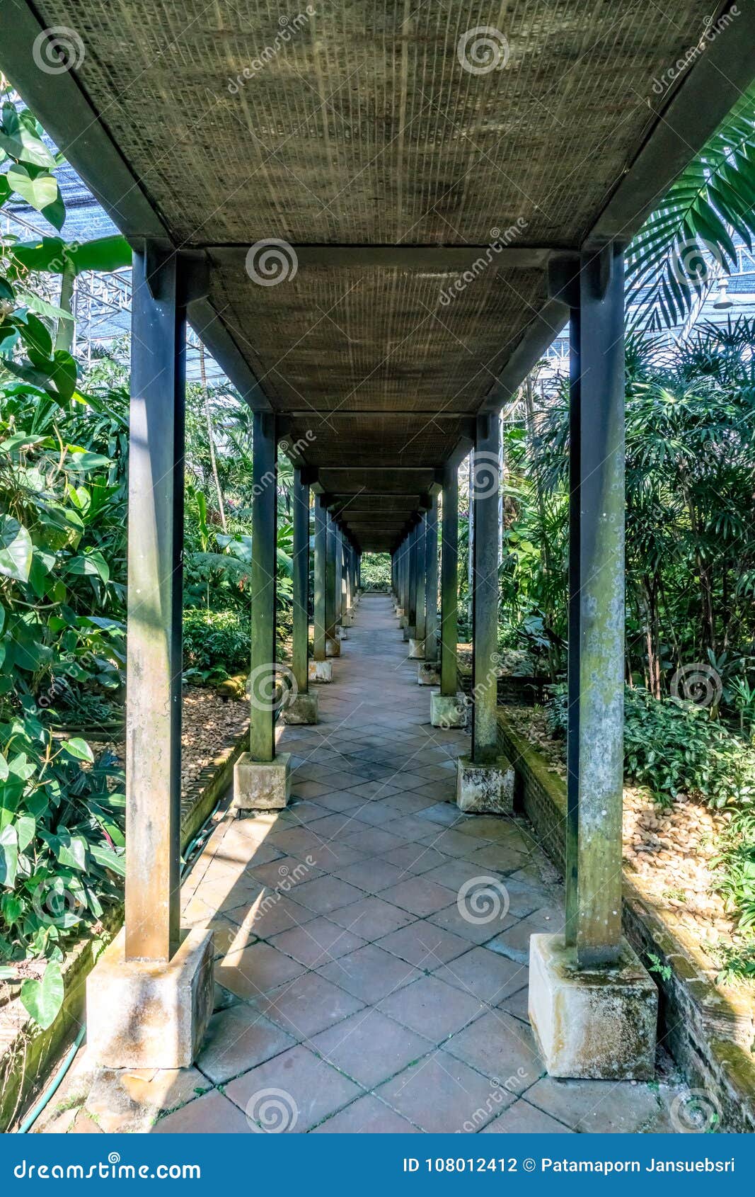 Pathway in the park stock photo. Image of structure - 108012412