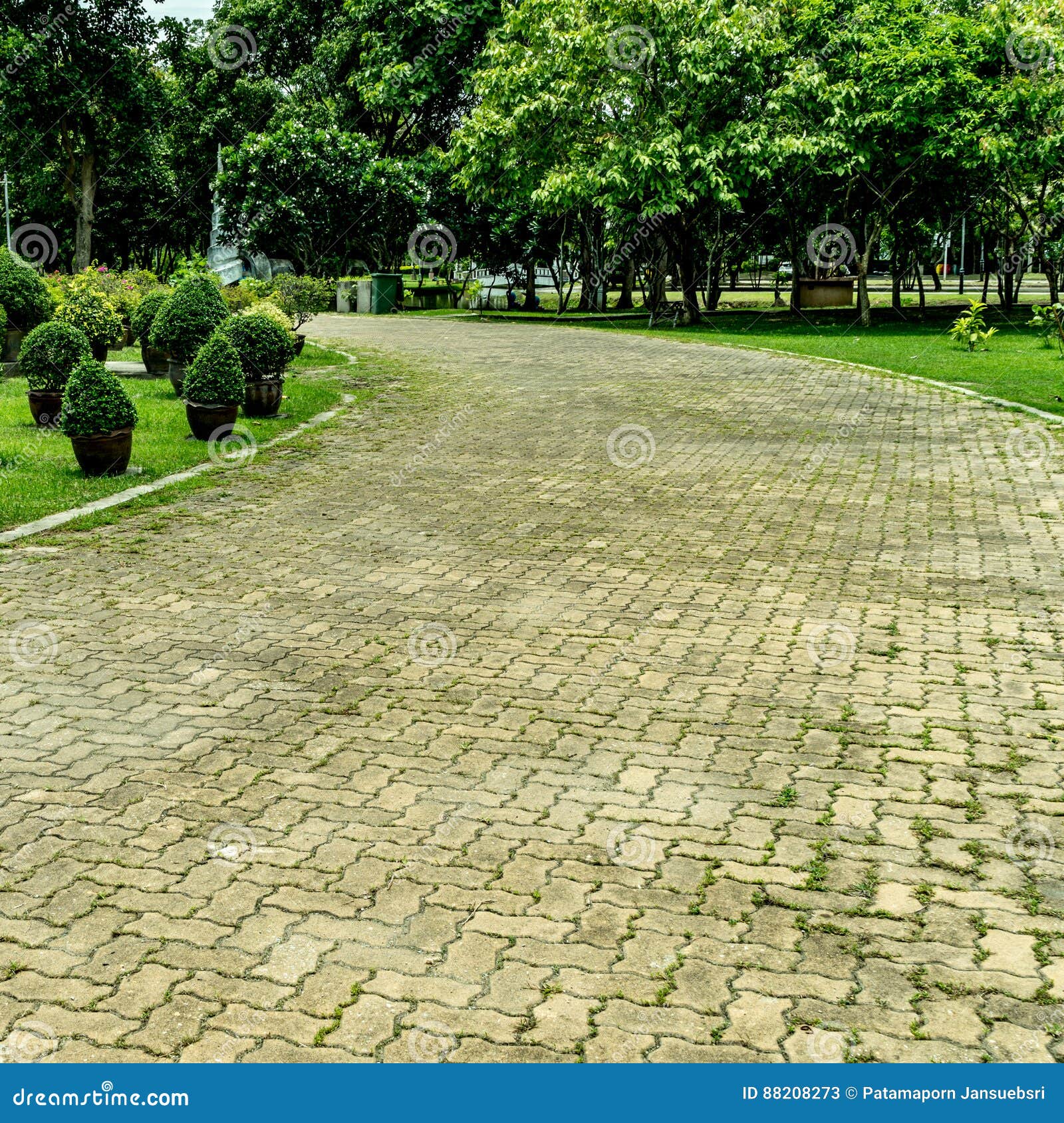 Concrete Pathway in park stock image. Image of field - 88208273