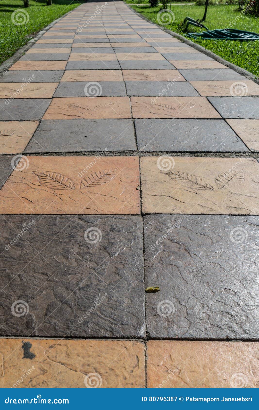 Concrete Pathway in the Park Stock Image - Image of green, walkway ...