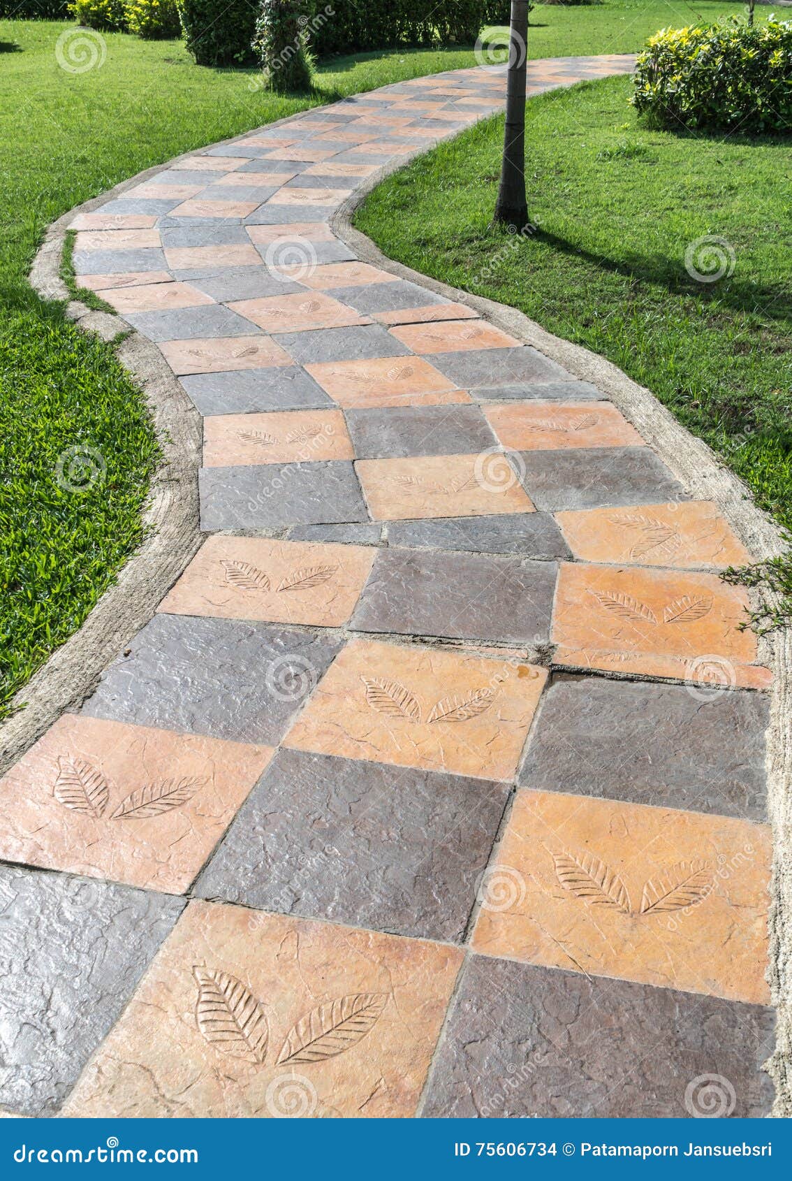 Concrete Pathway in the Park Stock Photo - Image of field, path: 75606734