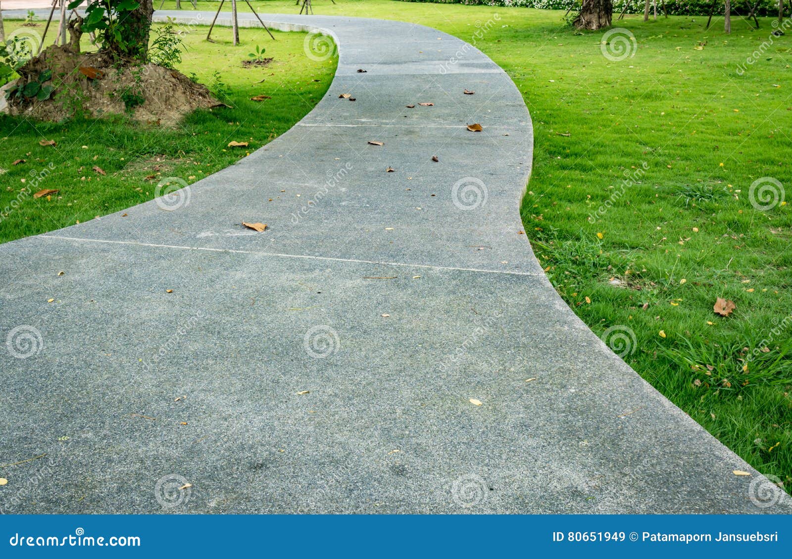 Concrete Pathway in the Park Stock Image - Image of road, scenic: 80651949