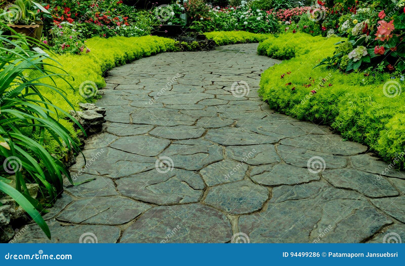 Concrete Pathway in the Park Stock Photo - Image of outdoor, pathway ...