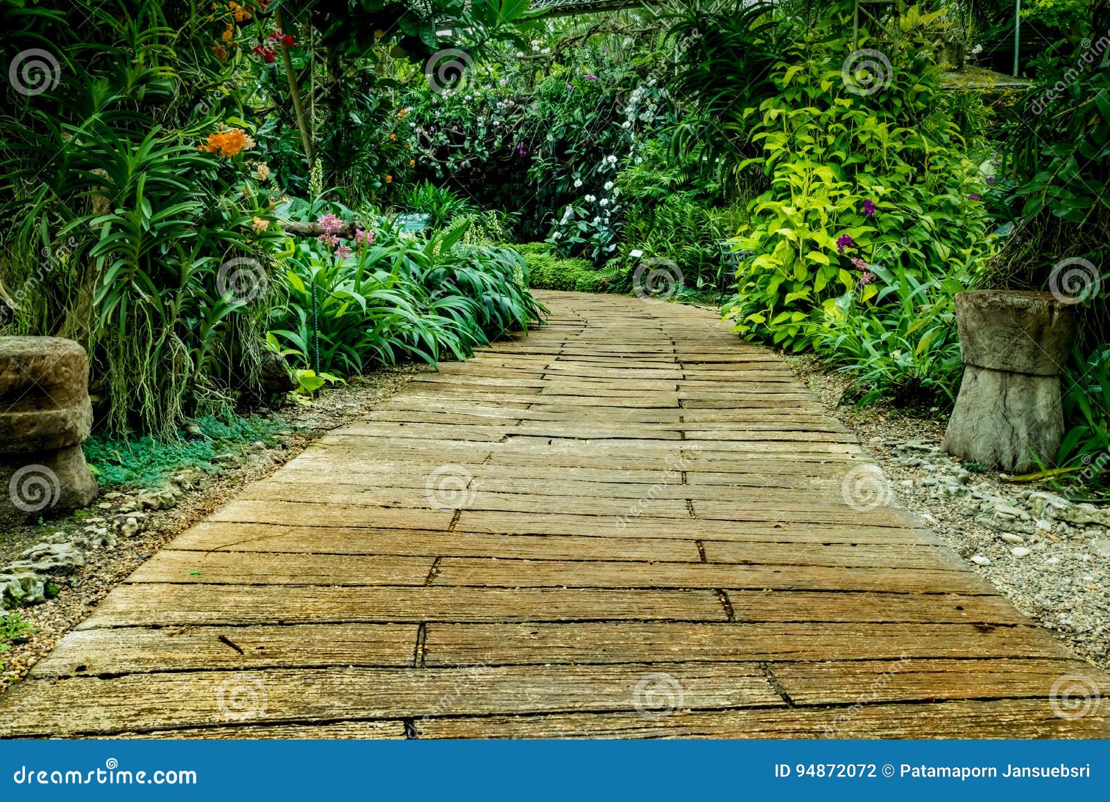 Concrete Pathway in the Park Stock Photo - Image of rural, summer: 94872072