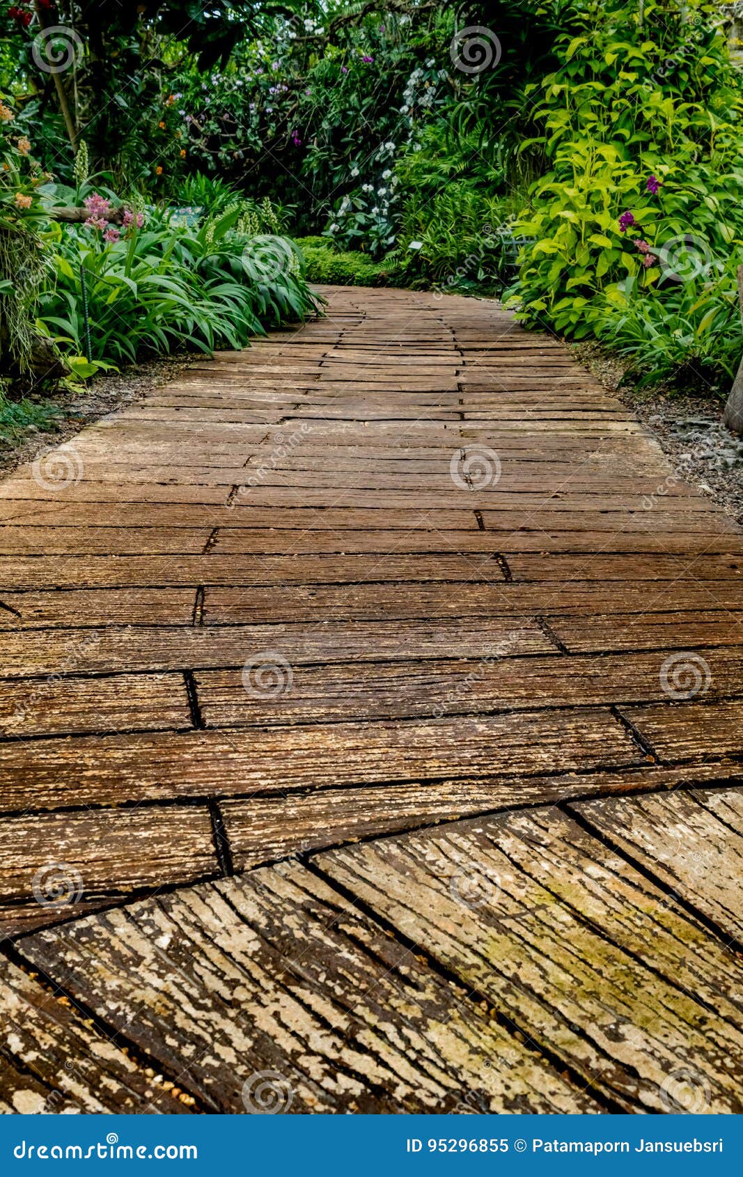 Concrete Pathway in the Park Stock Image - Image of walk, plant: 95296855