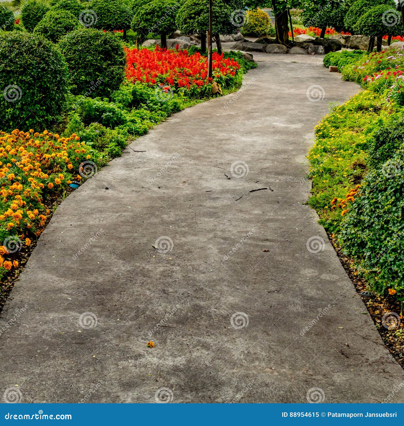 Concrete Pathway in park stock image. Image of sidewalk - 88954615