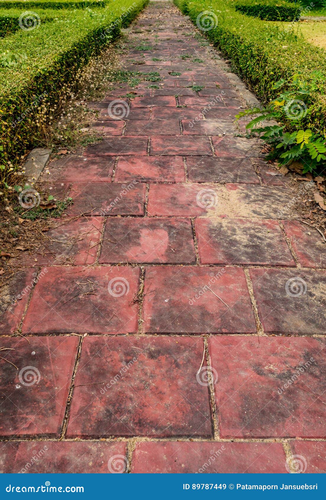 Concrete Pathway in the Park Stock Image - Image of road, walkway: 89787449