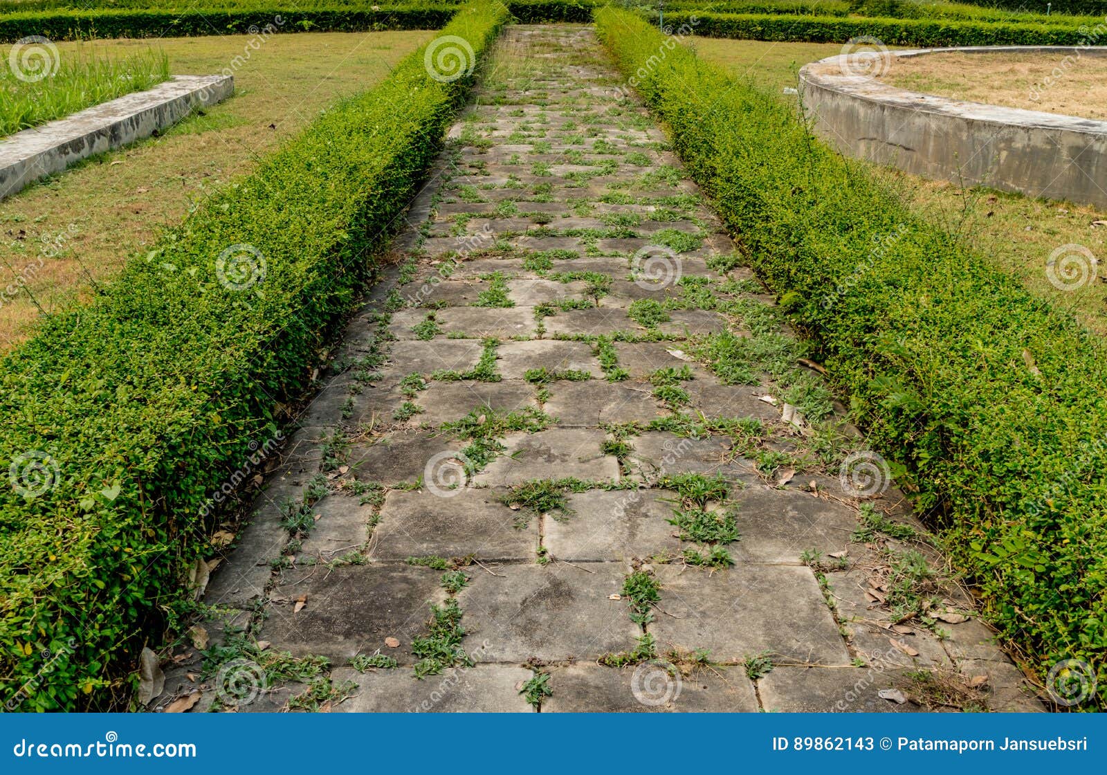Concrete Pathway in the Park Stock Image - Image of nature, rural: 89862143