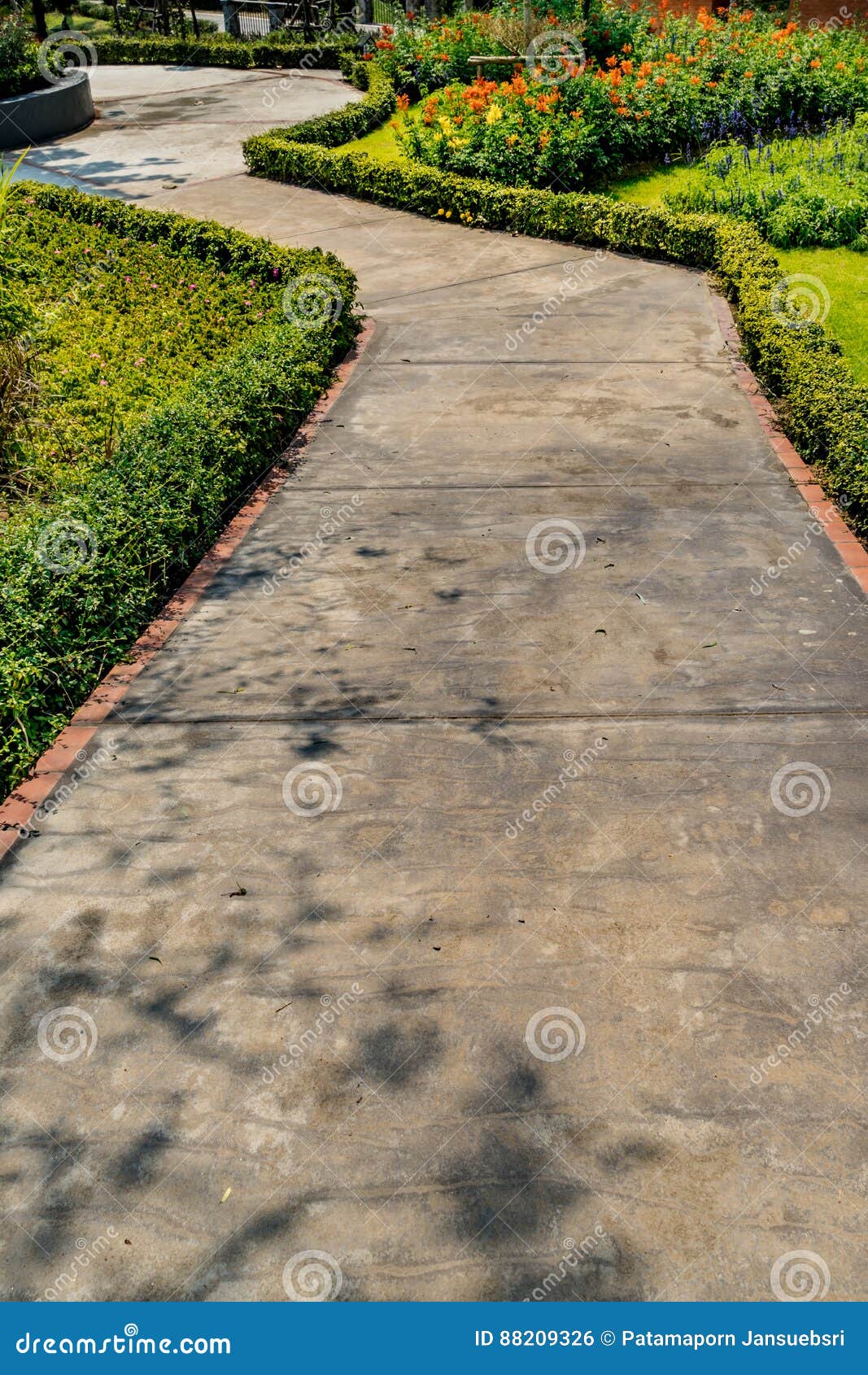 Concrete Pathway in park stock photo. Image of sidewalk - 88209326