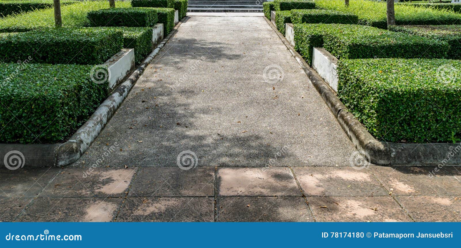 Concrete Pathway in the Park Stock Photo - Image of spring, road: 78174180