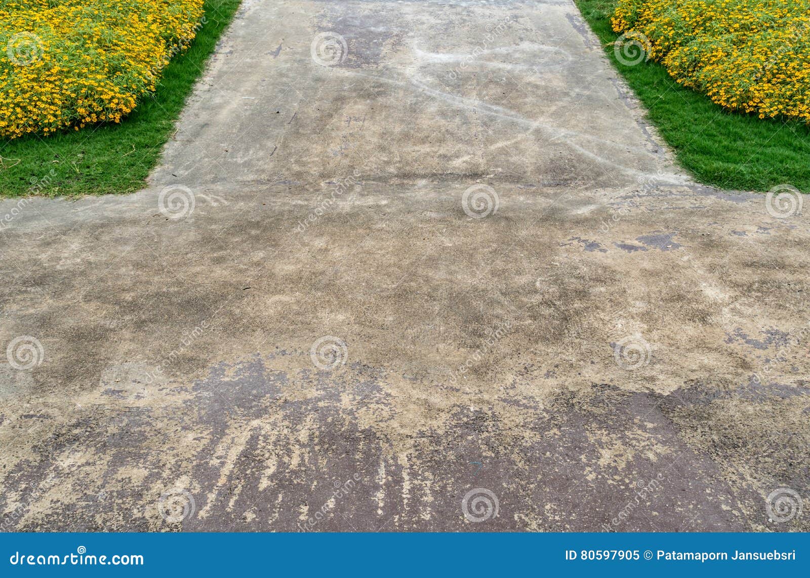 Concrete Pathway in the Park Stock Image - Image of walk, sidewalk ...