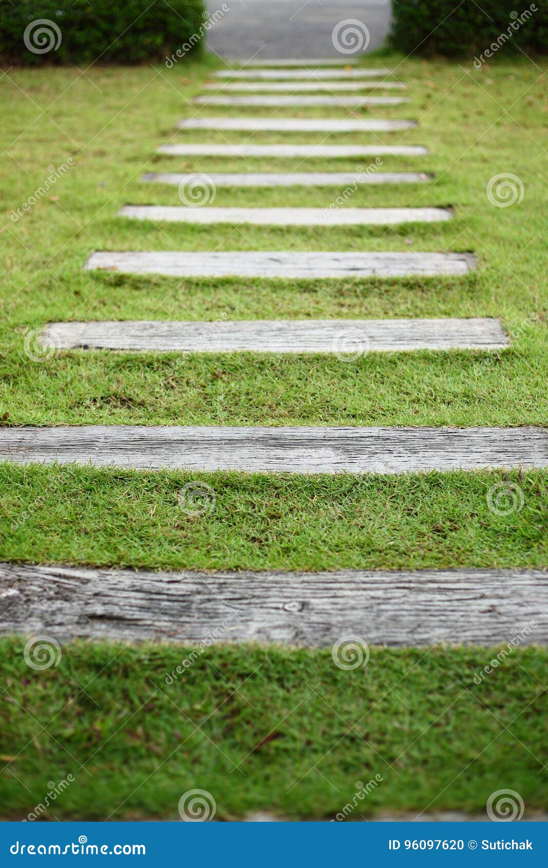 Concrete Pathway Pavement Step on Green Grass Stock Photo - Image of ...