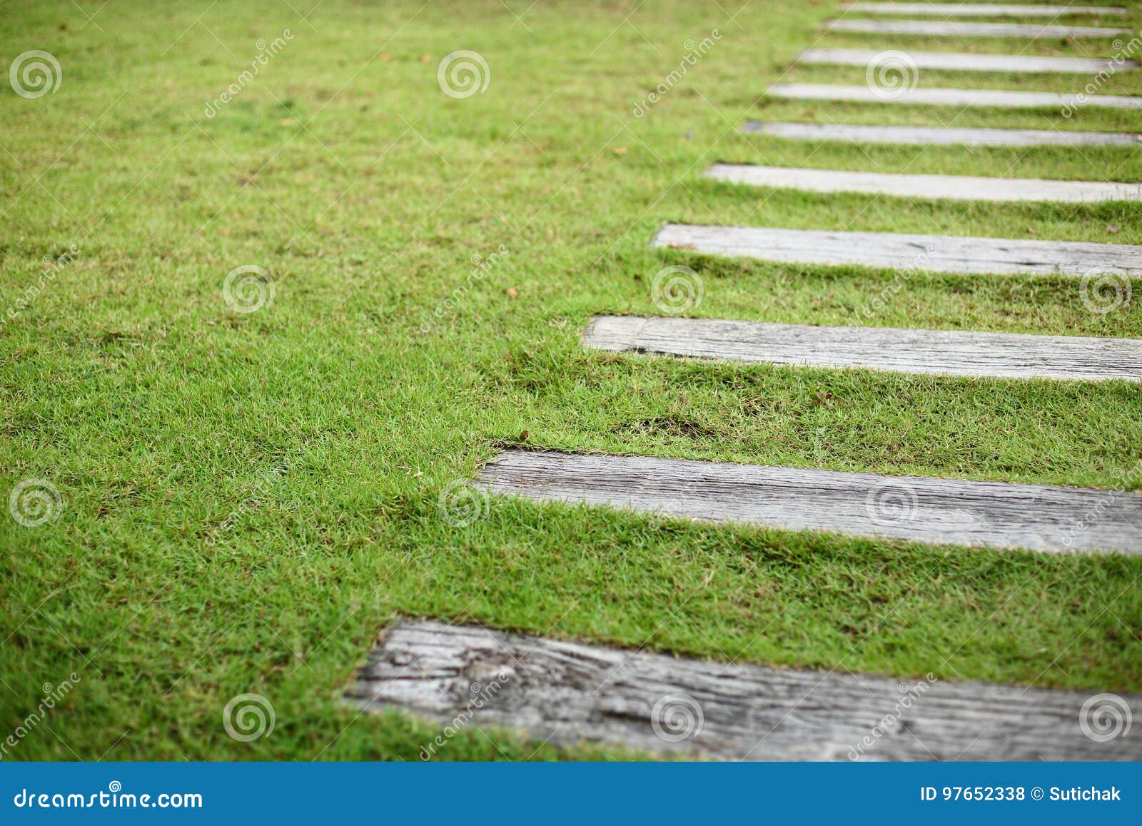 Concrete Pathway Pavement Step on Green Grass Stock Photo - Image of ...