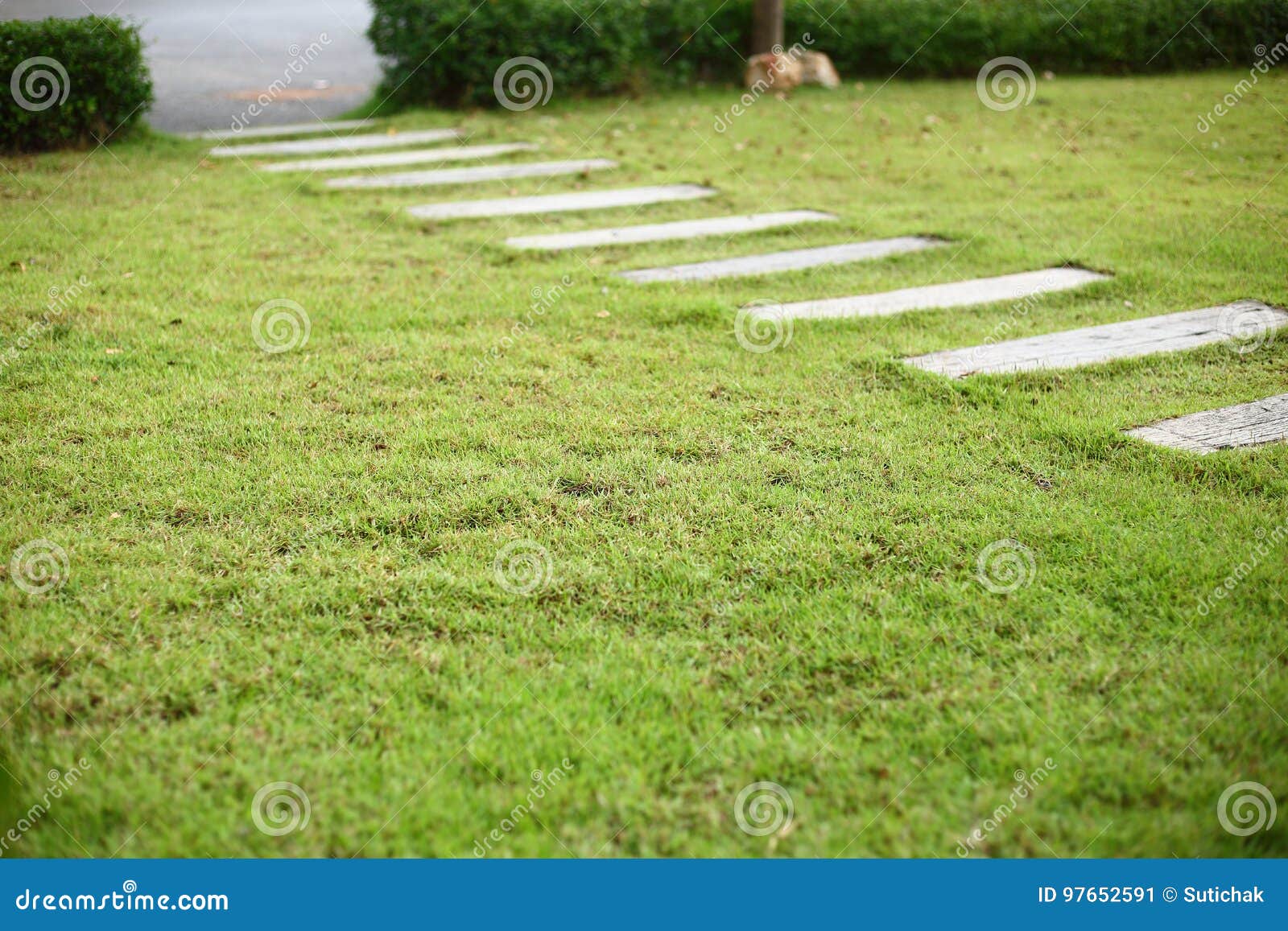 Concrete Pathway Pavement Step on Green Grass Stock Image - Image of ...