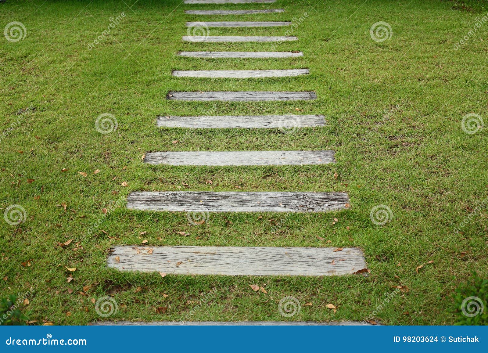 Concrete Pathway Pavement Step on Green Grass Stock Photo - Image of ...