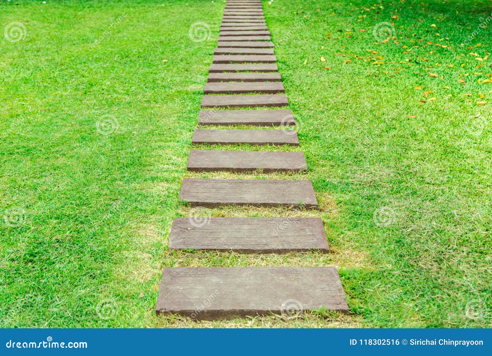 Pathway step in the garden stock photo. Image of stone - 118302516