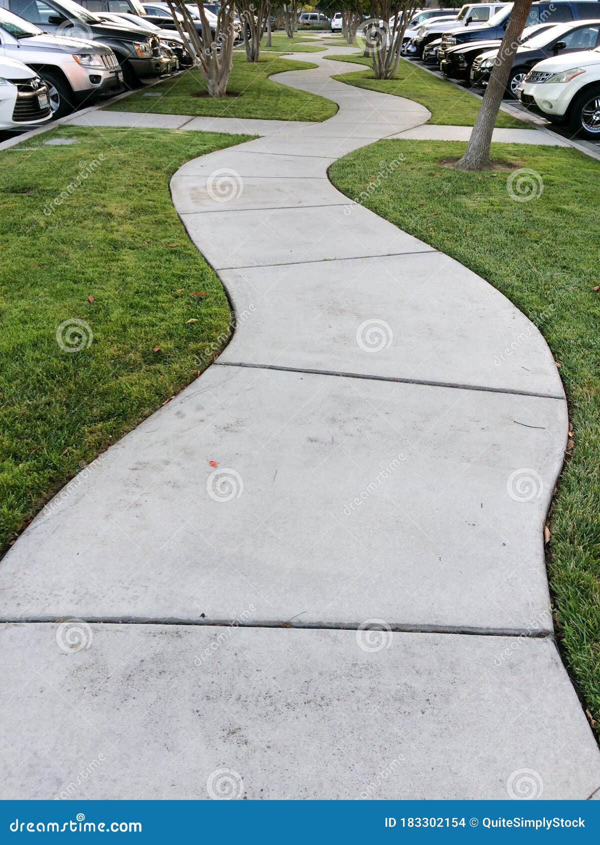 Concrete Pathway Walkway of Life Path Stock Photo - Image of life ...