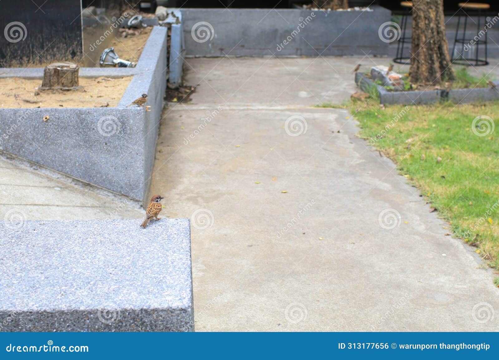 Concrete Pavement, Floor, Passage, Path, Footpath with Nature for ...