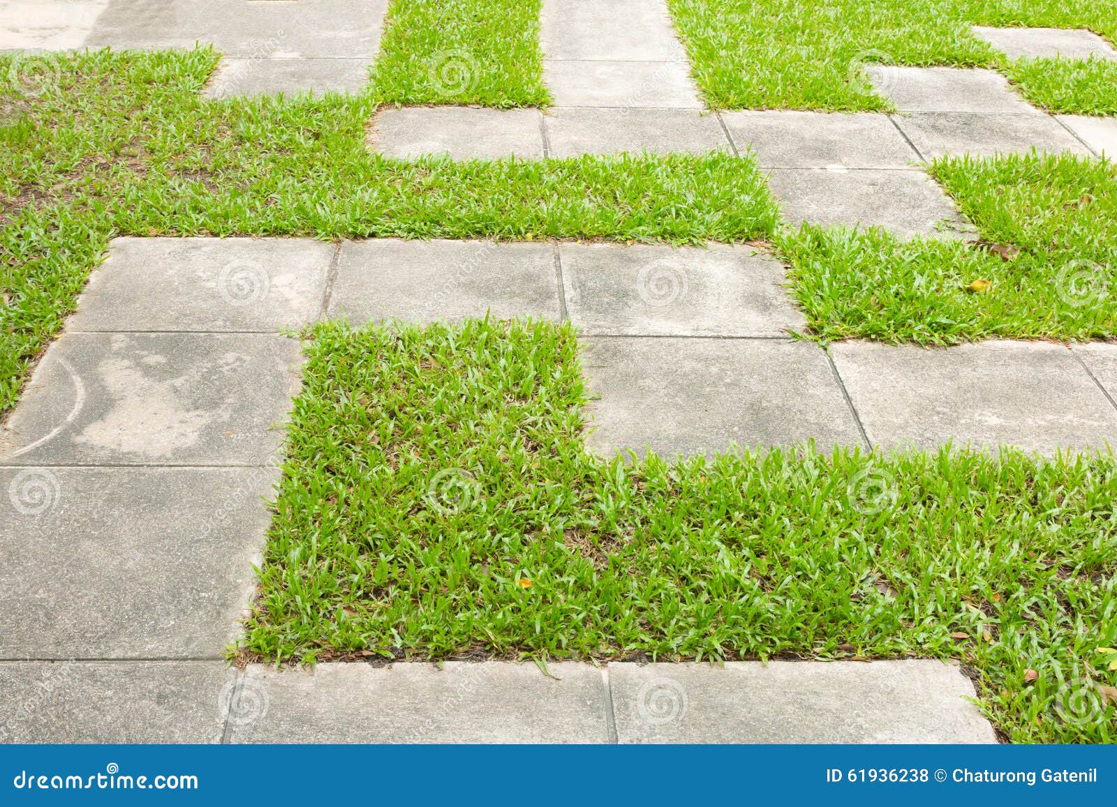 Concrete pavement on grass stock photo. Image of road - 61936238