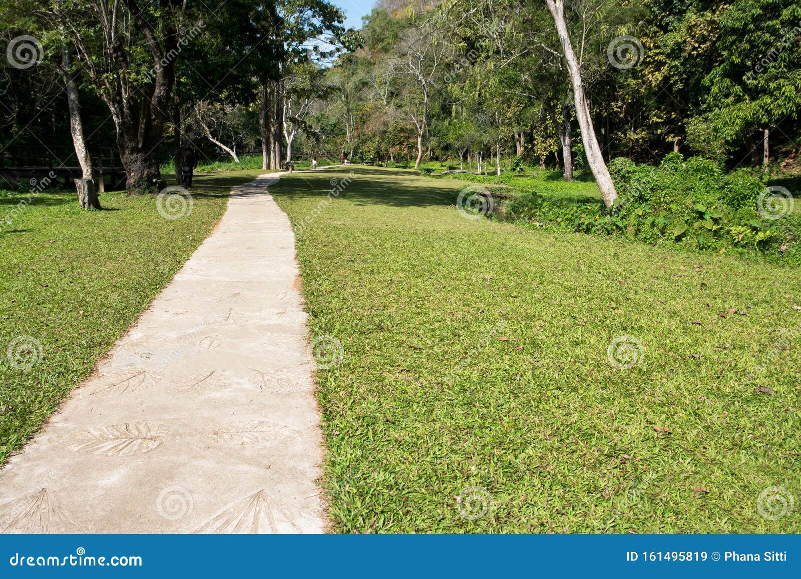 Long Concrete Pavement in Public Park with Grass Lawn Yard Stock Image ...