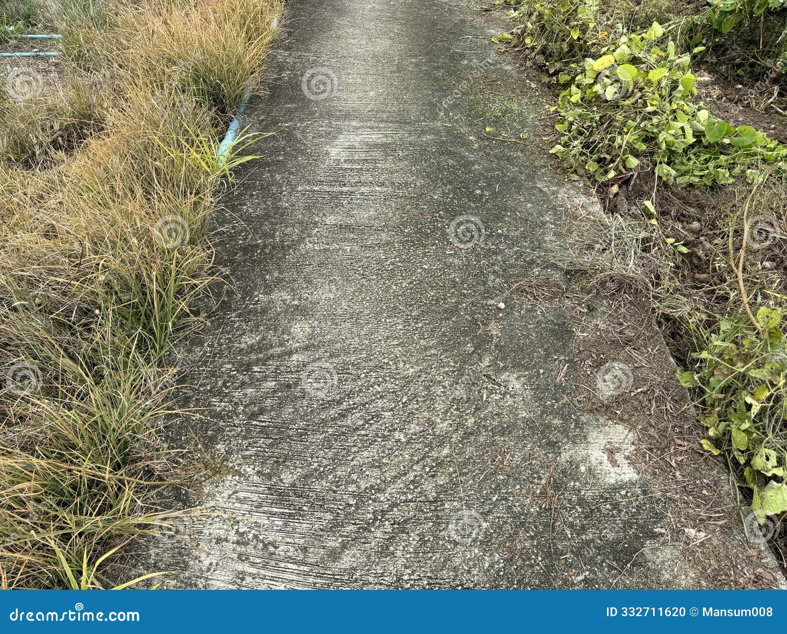 Concrete Pavement Texture Background, Green Grass Stock Photo - Image ...