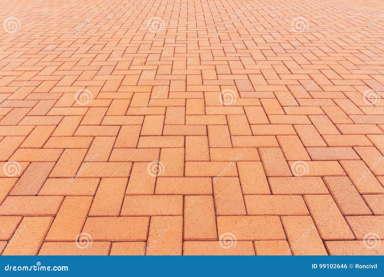 Paver Block Floor Background Stock Photo - Image of landscape ...