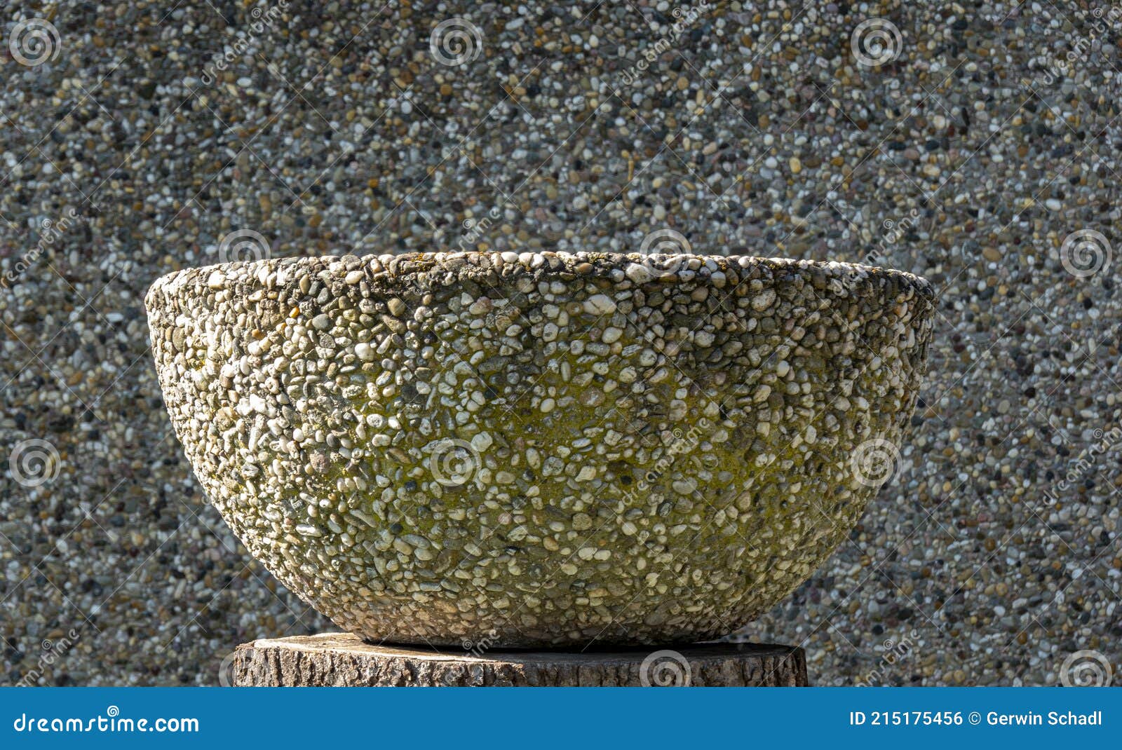 Concrete Pebble Shell in Front of Concrete Wall Stock Photo - Image of ...