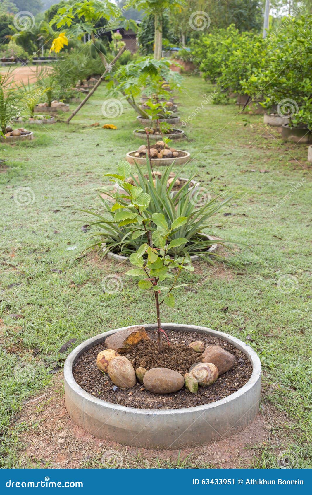The concrete pipe plant. stock image. Image of farming - 63433951