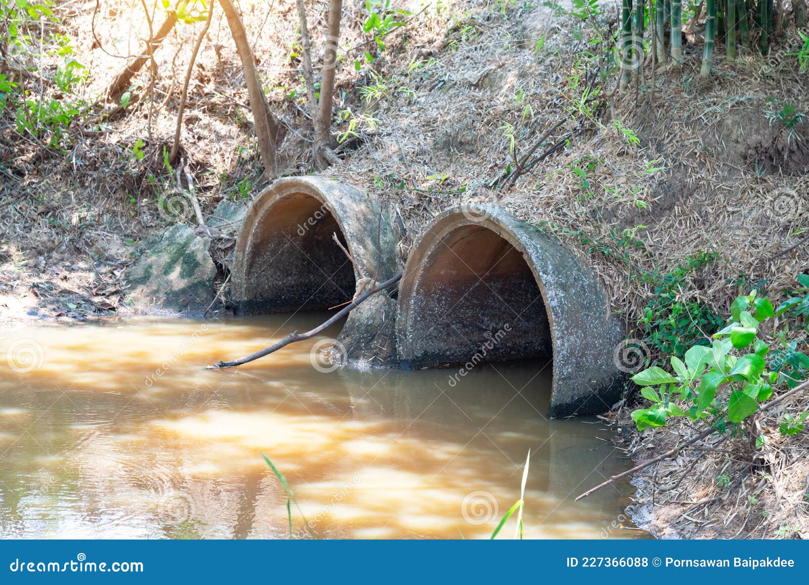 Concrete Pipes Draining in the Swamp Stock Photo - Image of danger ...