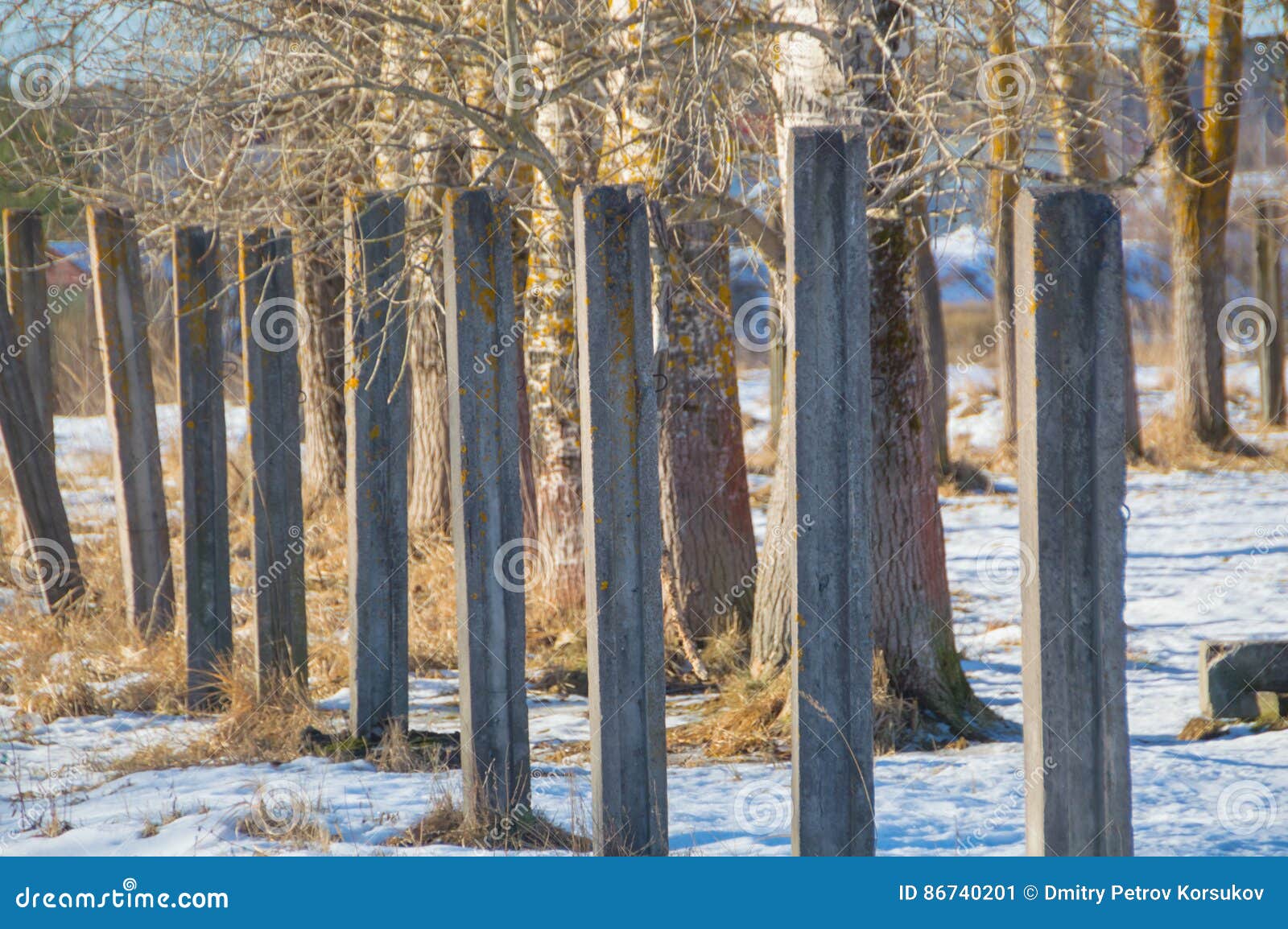 Concrete Posts with Snow in the Winter Stock Image - Image of ...