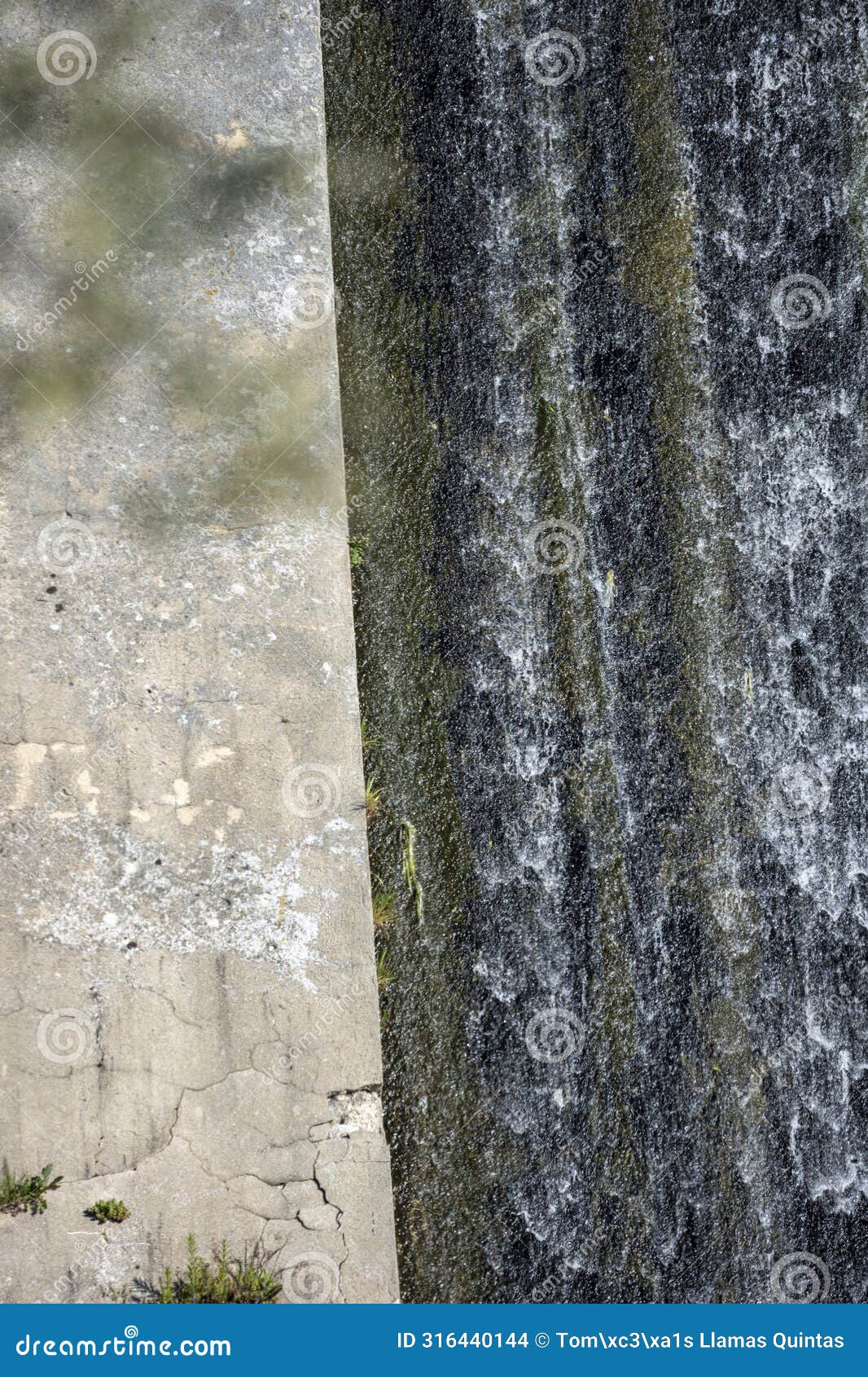 A Concrete Ramp Surface To Evacuate Water from a Dam Full of Weeds and ...