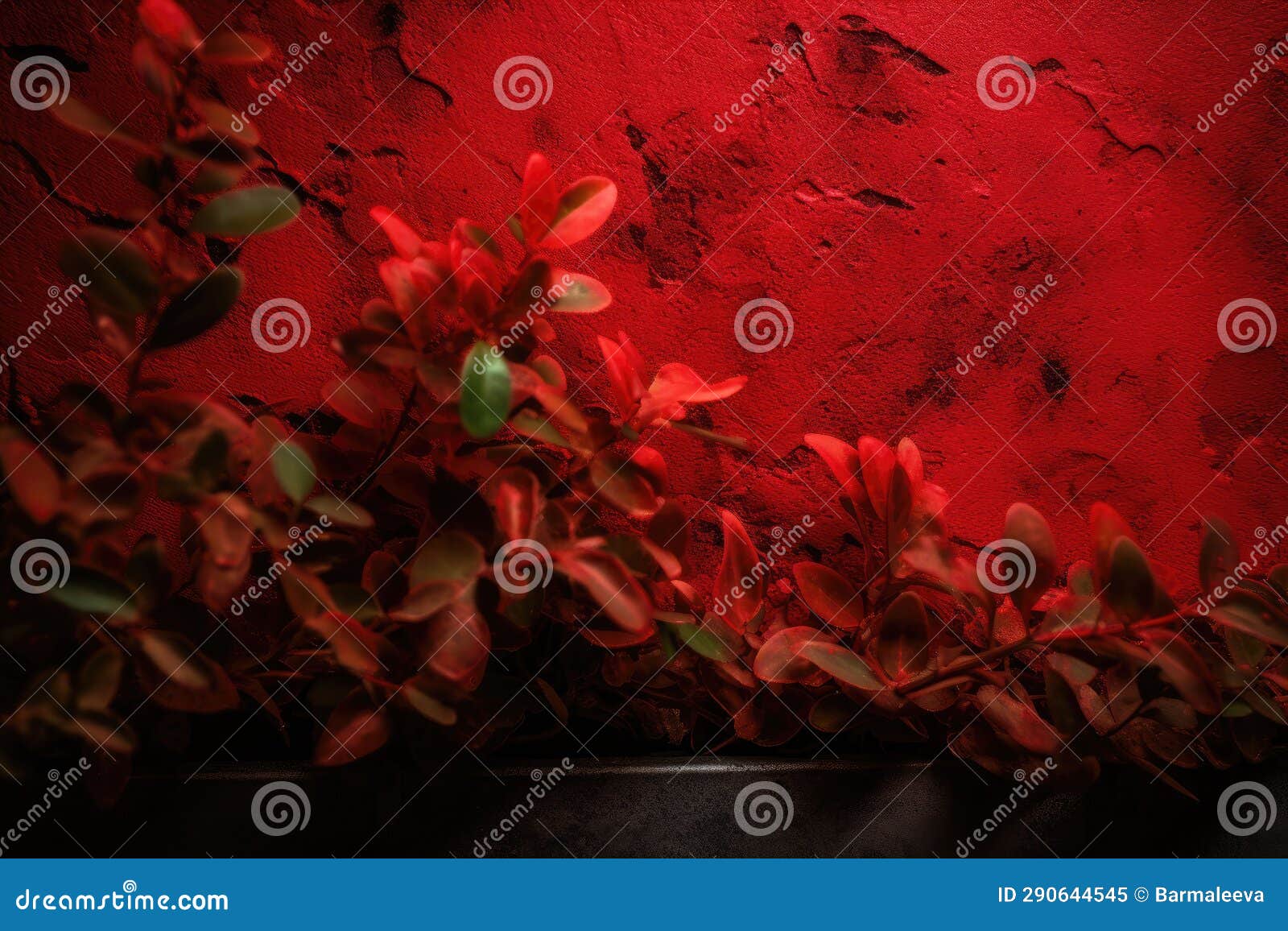 Concrete Red Texture Wall and the Branch. Background with Distressed ...