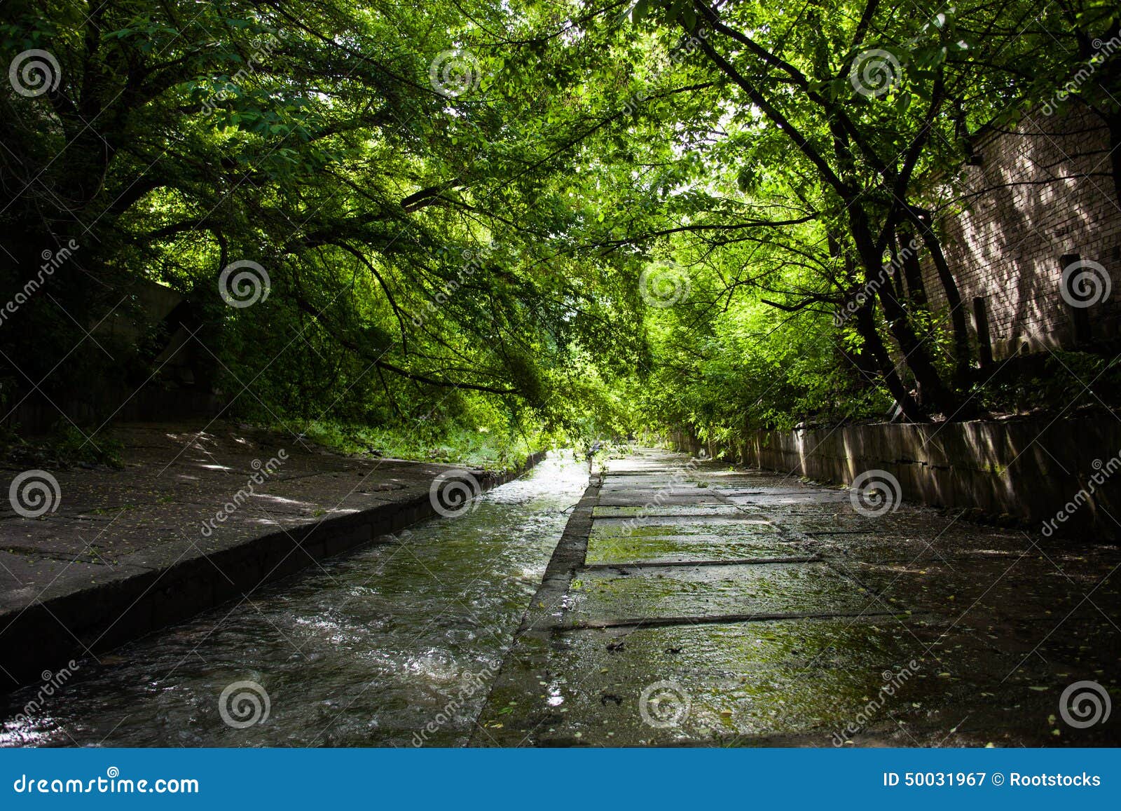 Concrete Riverbed and Banks of the Lybid River (Kyiv) Stock Image ...