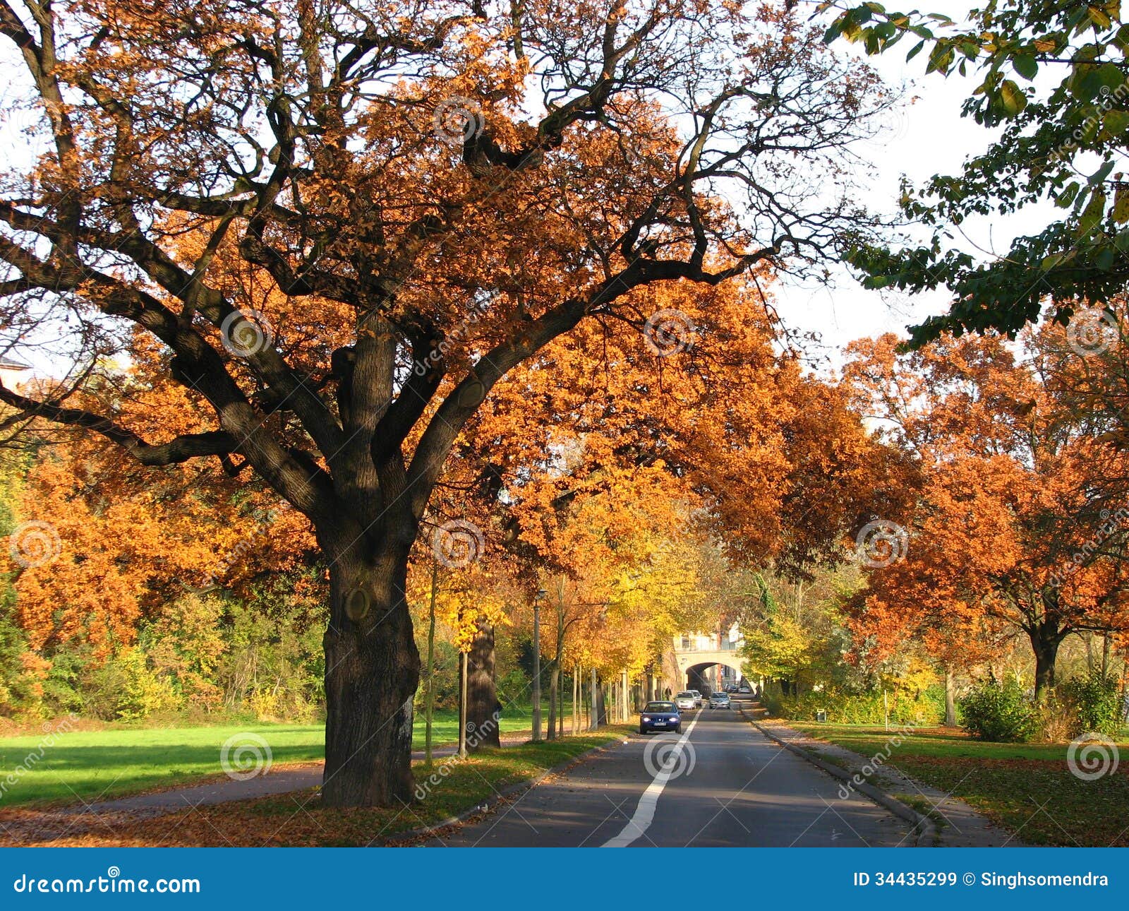 Concrete Road Texture Royalty-Free Stock Photography | CartoonDealer ...