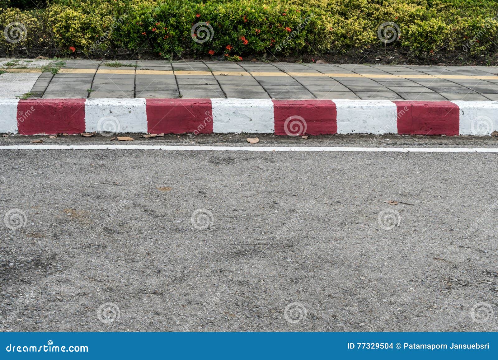 Concrete Road with Red and White Stock Photo - Image of driveway ...