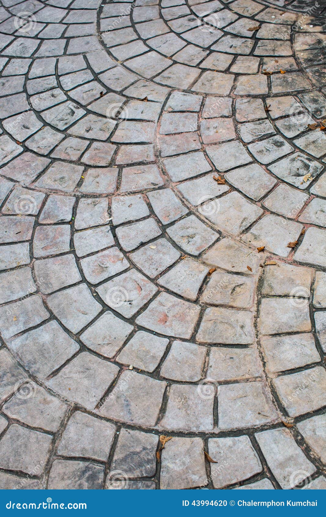 Concrete Road in Stone Curve Pattern Stock Photo - Image of line ...