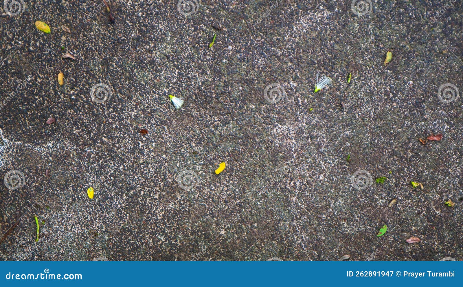 Concrete Road Texture with Falling Leaves Stock Image - Image of maple ...