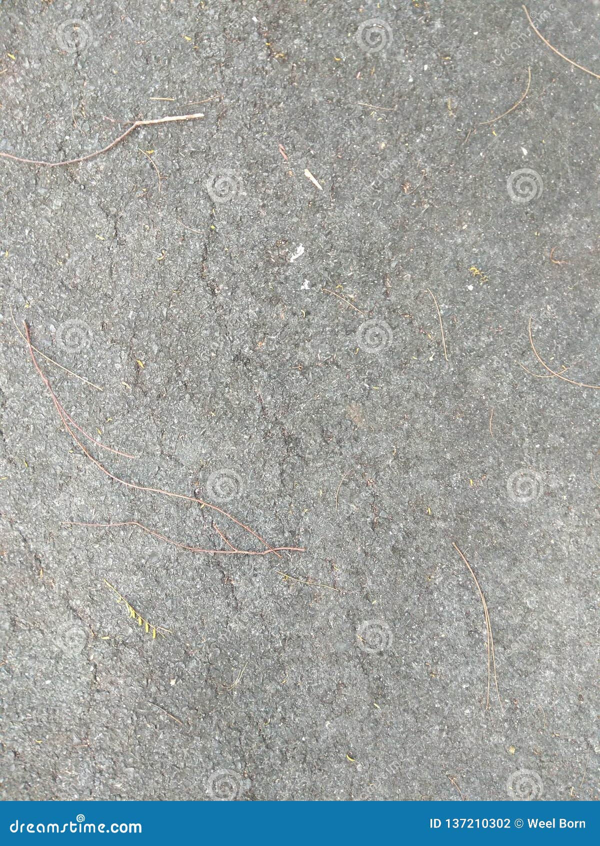 Concrete road texture stock photo. Image of clean, canvas - 137210302