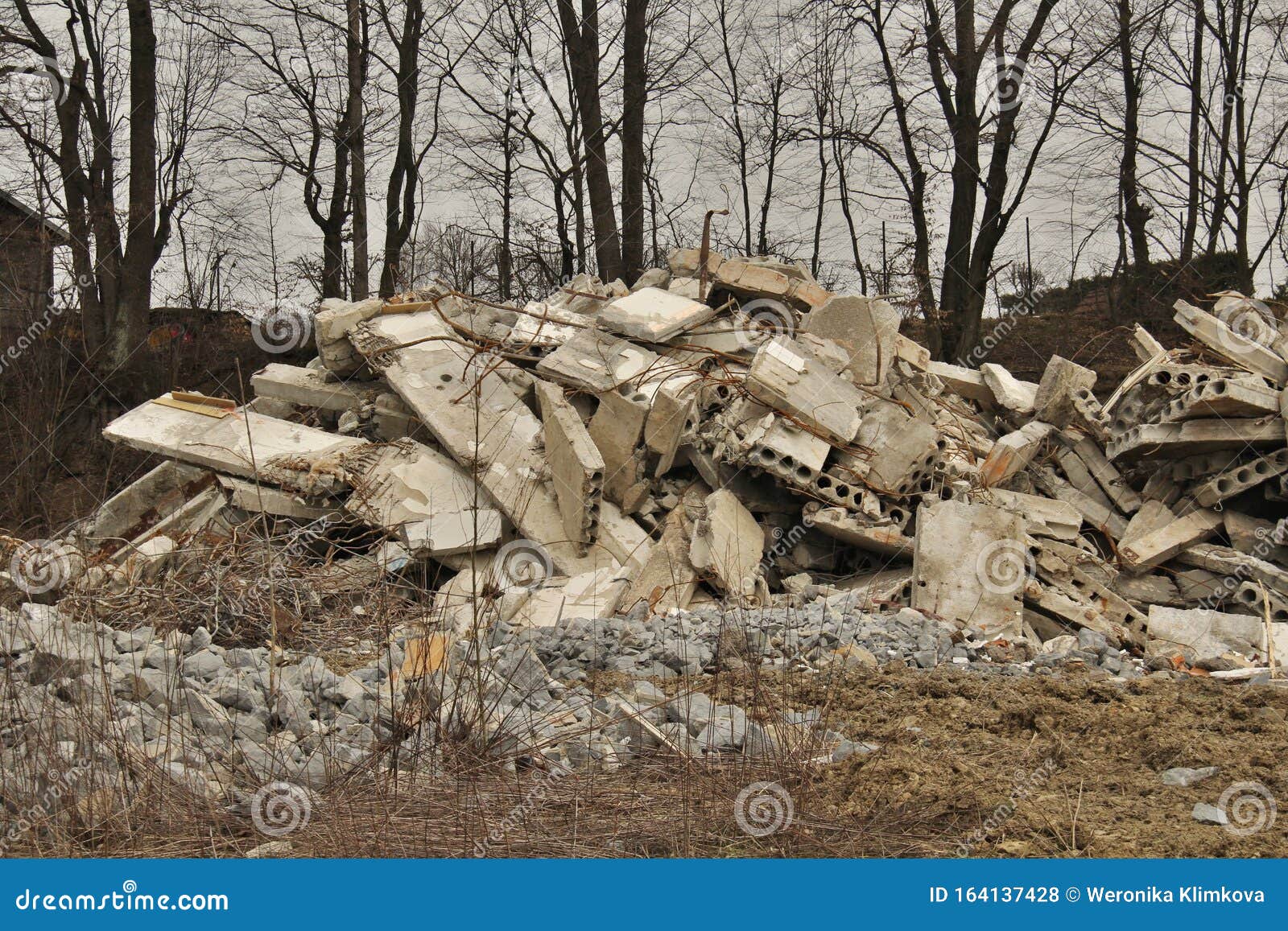 Concrete rubble stock photo. Image of forest, wood, outdoor - 164137428