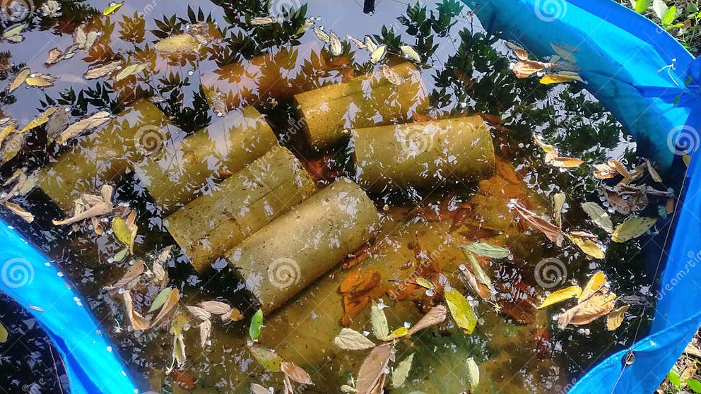 Concrete Sample Soaking Process Fc 22.5 Stock Image - Image of concrete ...