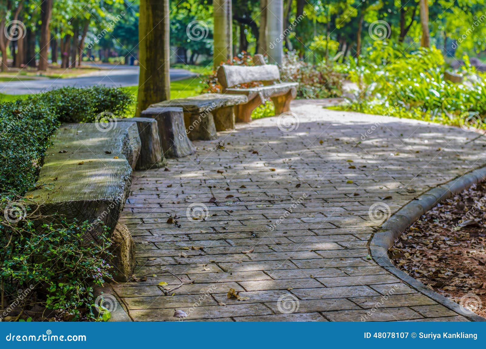 Concrete seating stock image. Image of walk, landscape - 48078107