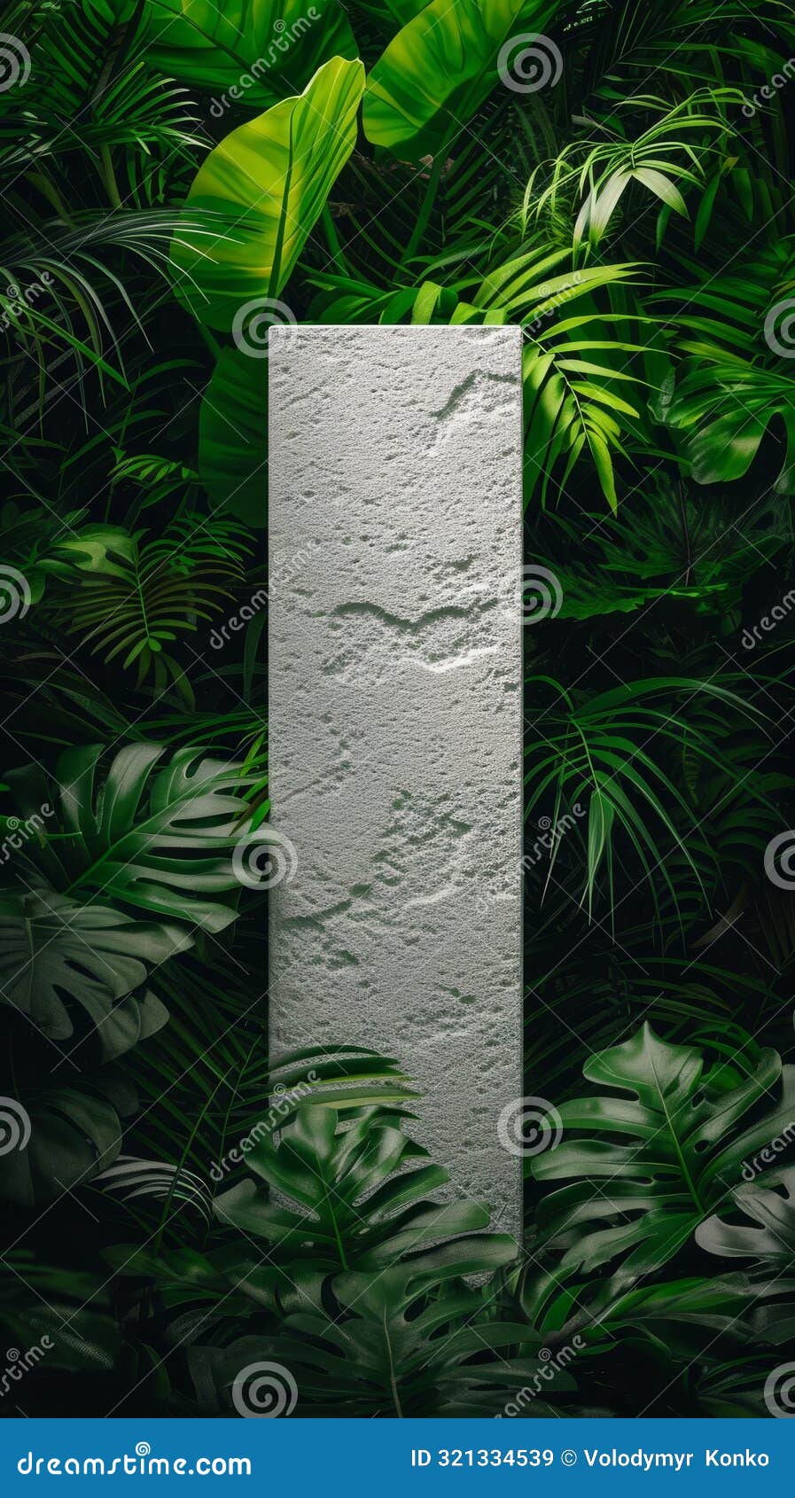 Concrete Slab Surrounded by Tropical Plants in Lush Jungle Stock Image ...