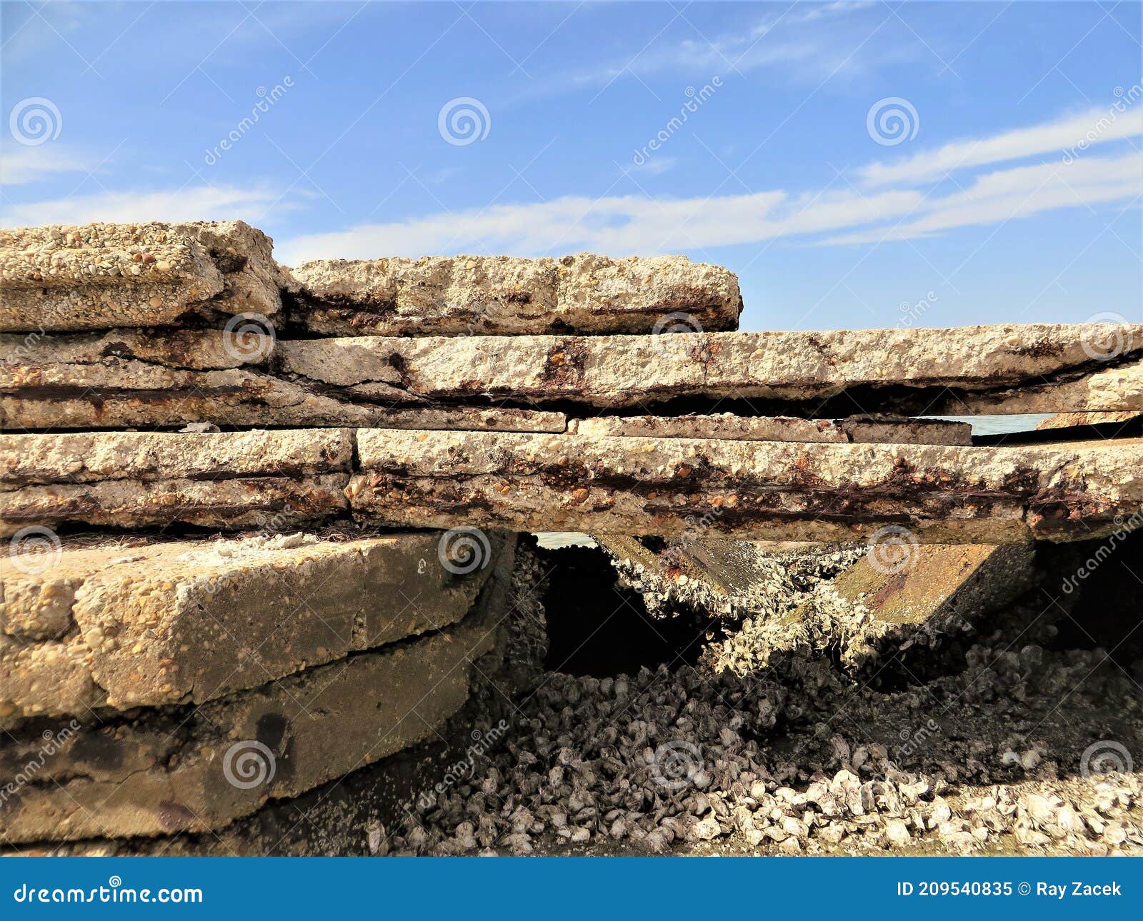 Barnacles Amid Chunks of Demolished Concrete Pier Stock Image - Image ...