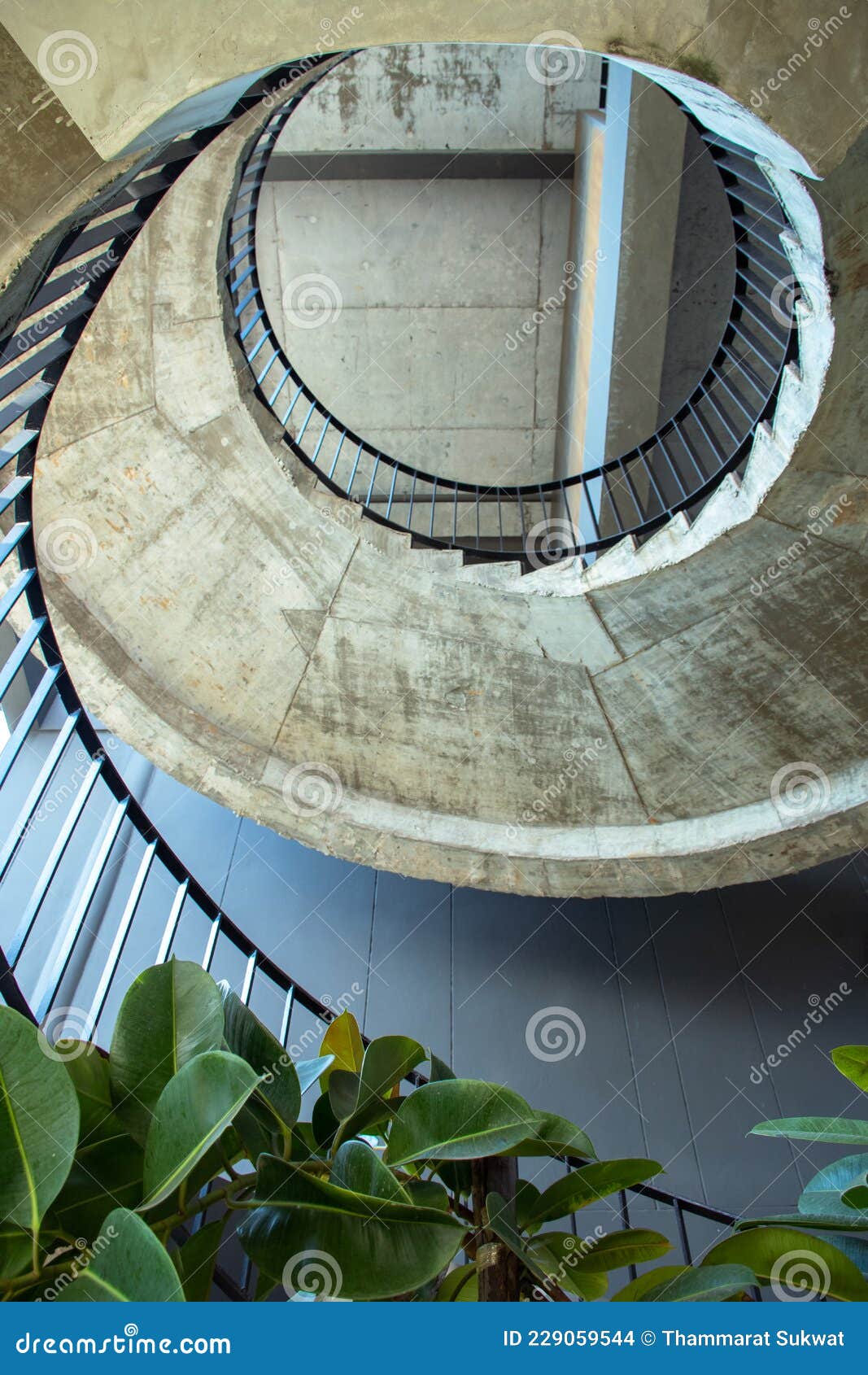 Concrete spiral staircase stock photo. Image of concrete - 229059544