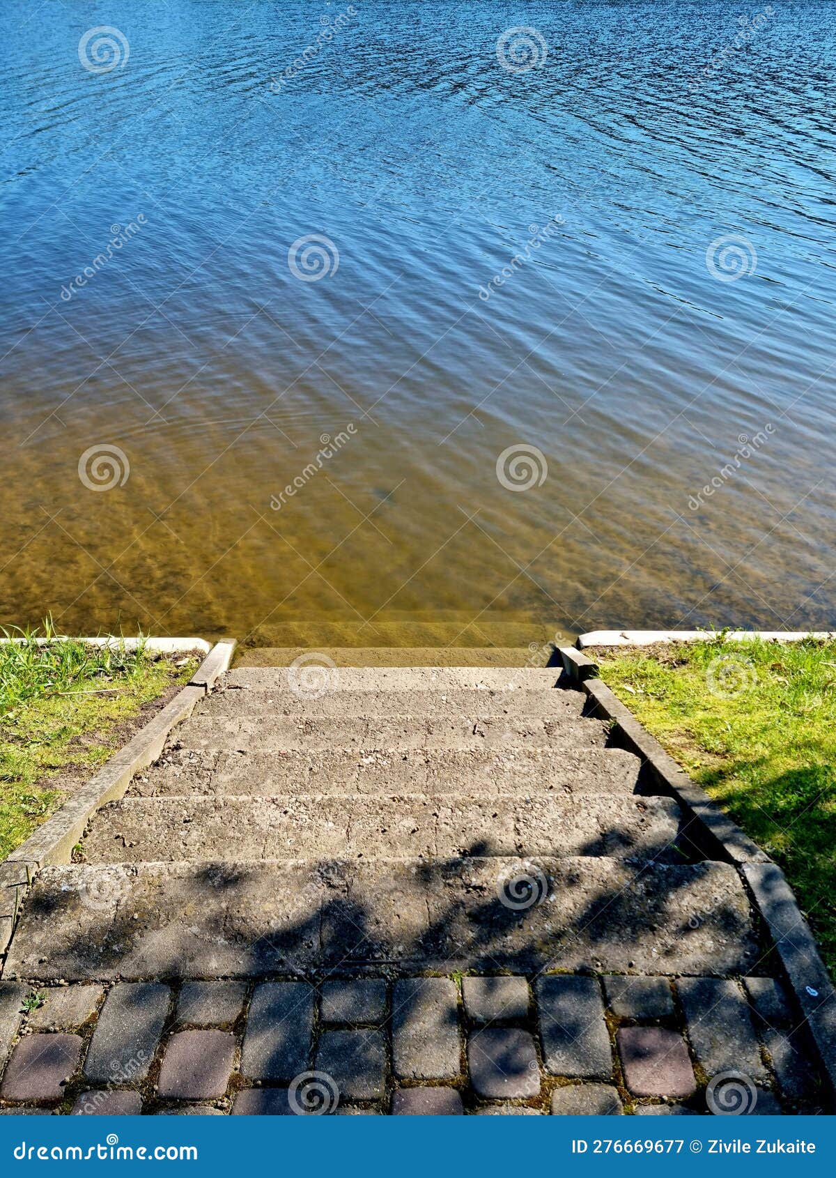 Concrete Stairs from the Greenery To the Water of the Lake Stock Image ...