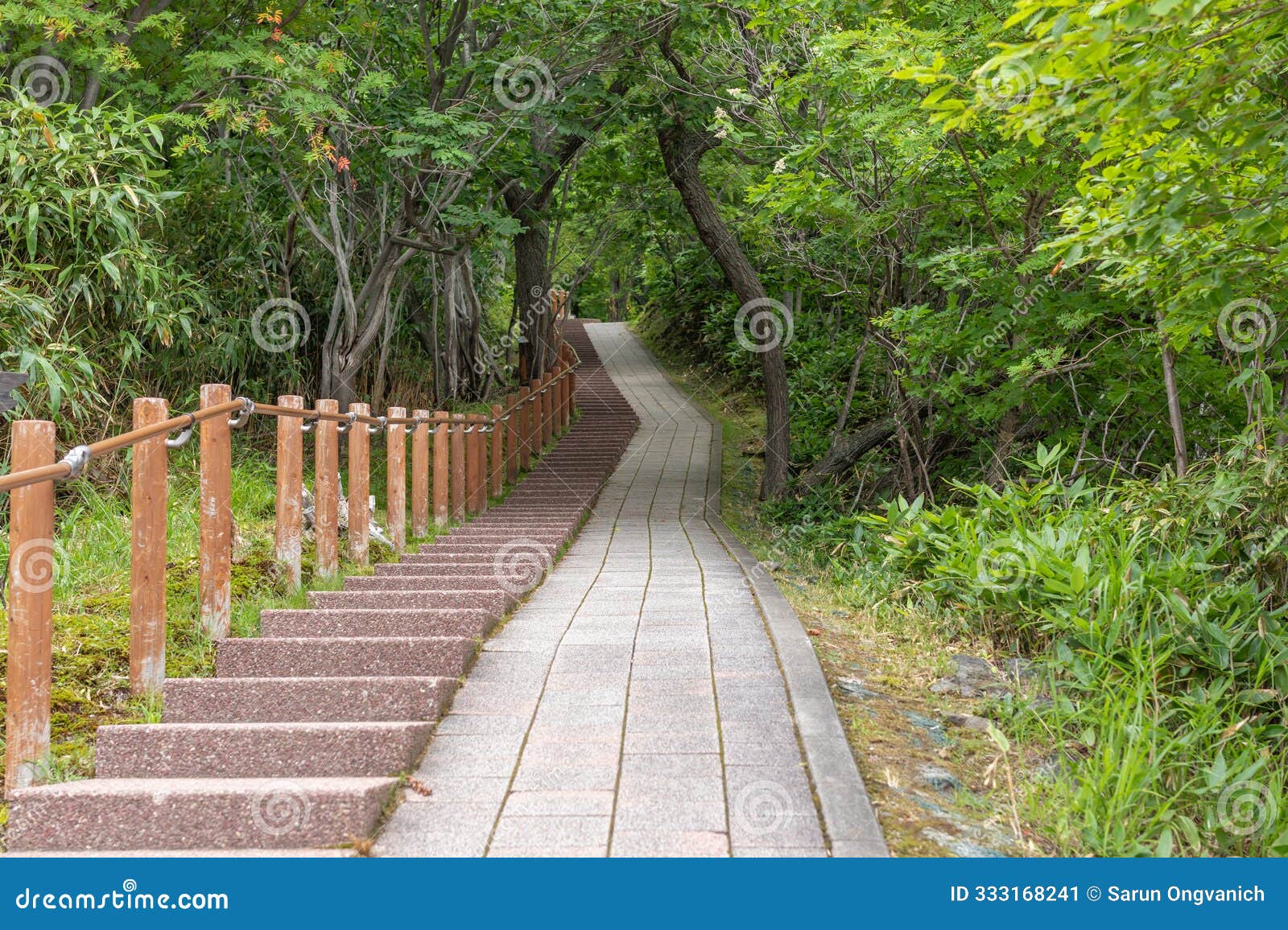 Concrete Steep Stairs Walkway Up the Hill in the Forest Stock Image ...