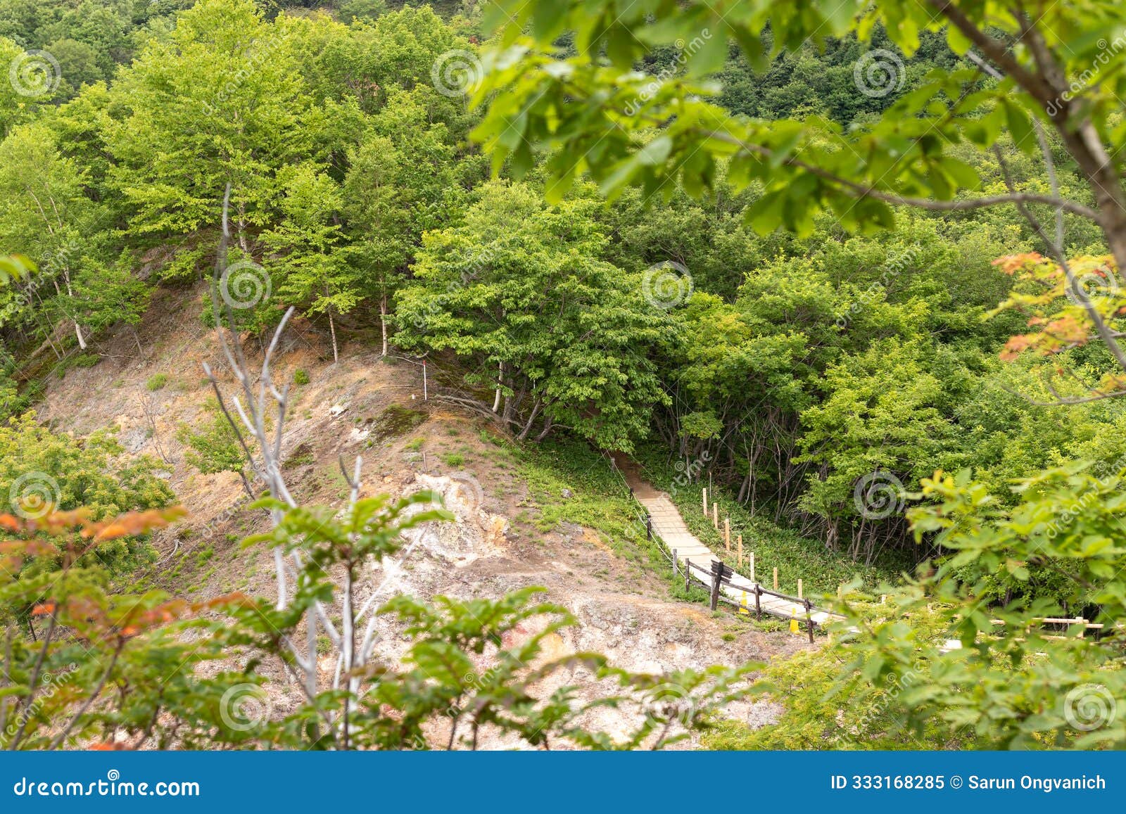 Concrete Steep Stairs and Walkway Up the Hill in the Forest Stock Image ...