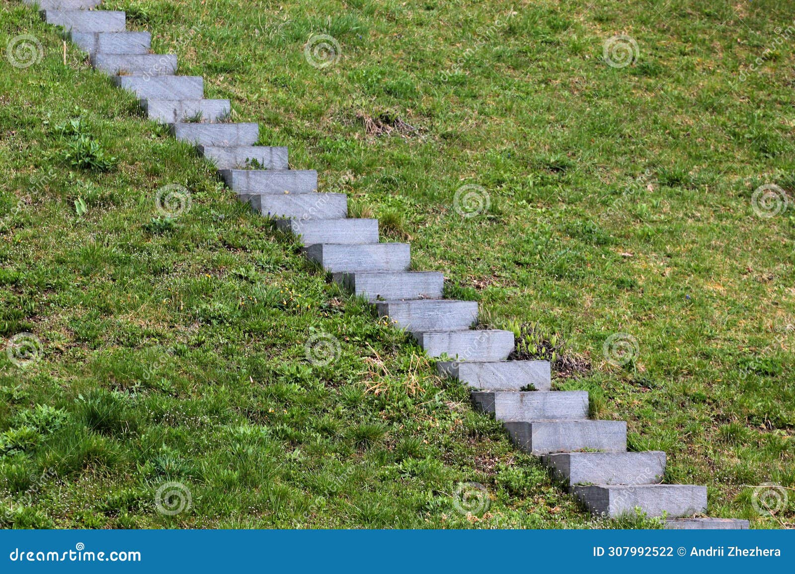 Concrete Steps on Green Grass, Stone Staircase on a Grassy Slope Stock ...